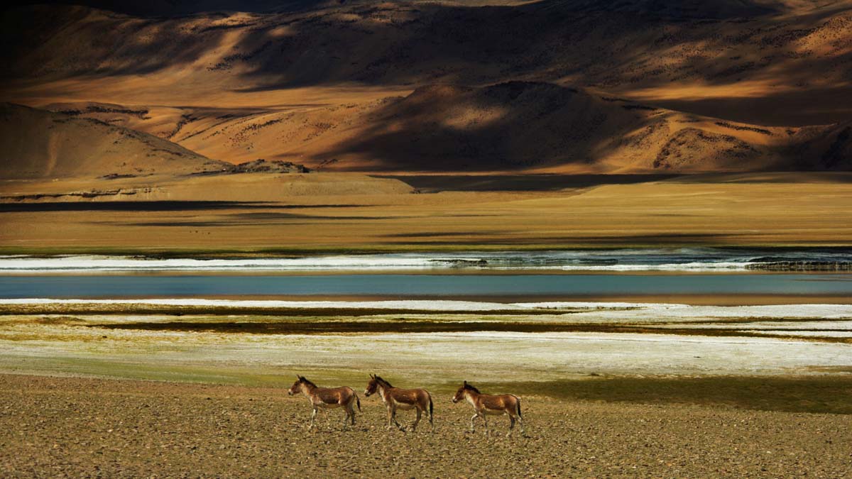 12 Beautiful Himalayan Lakes – Responsible Adventures